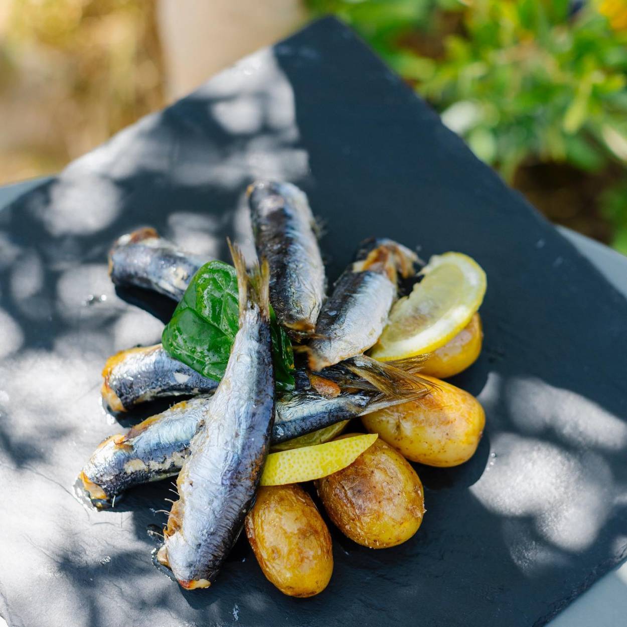 Chez Patacol - Restaurant La Guérinière